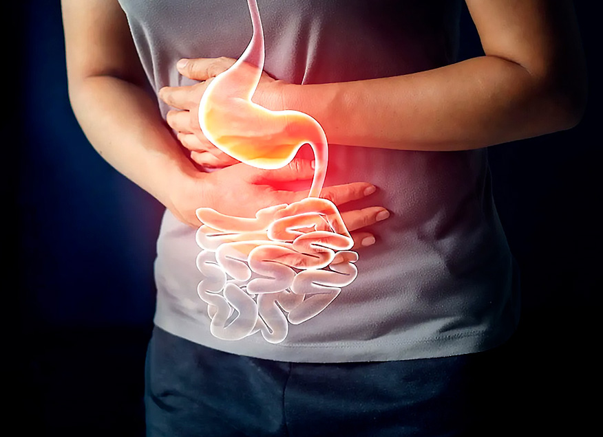 Diferencias entre infección e intoxicación por alimentos - Leterago