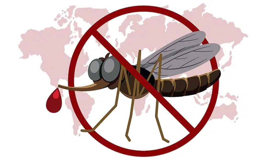 Georgia es el país número 45 en erradicar la malaria - Leterago